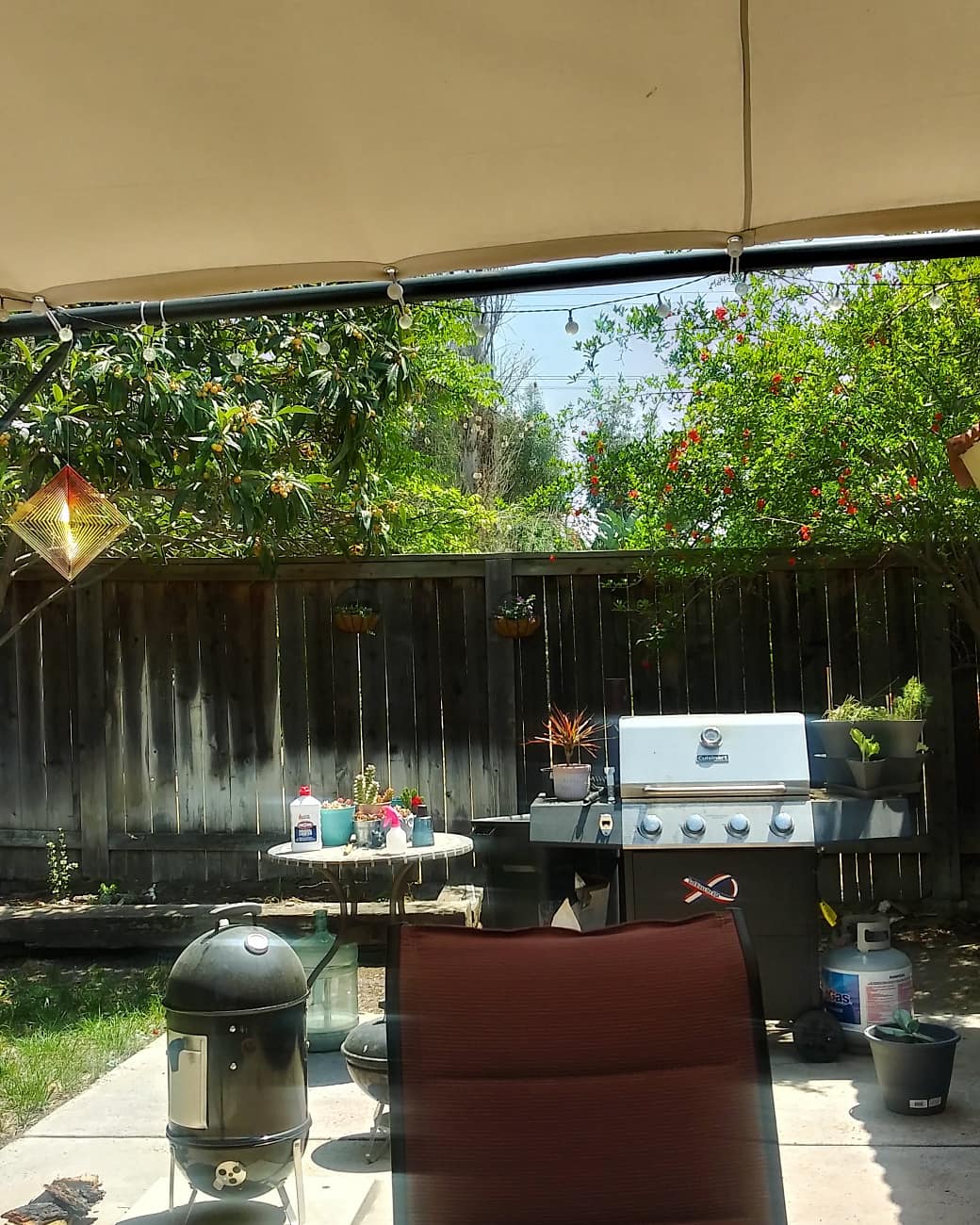 84 abd sunny. Backyard garden vibes! 🌞 | Scrolller
