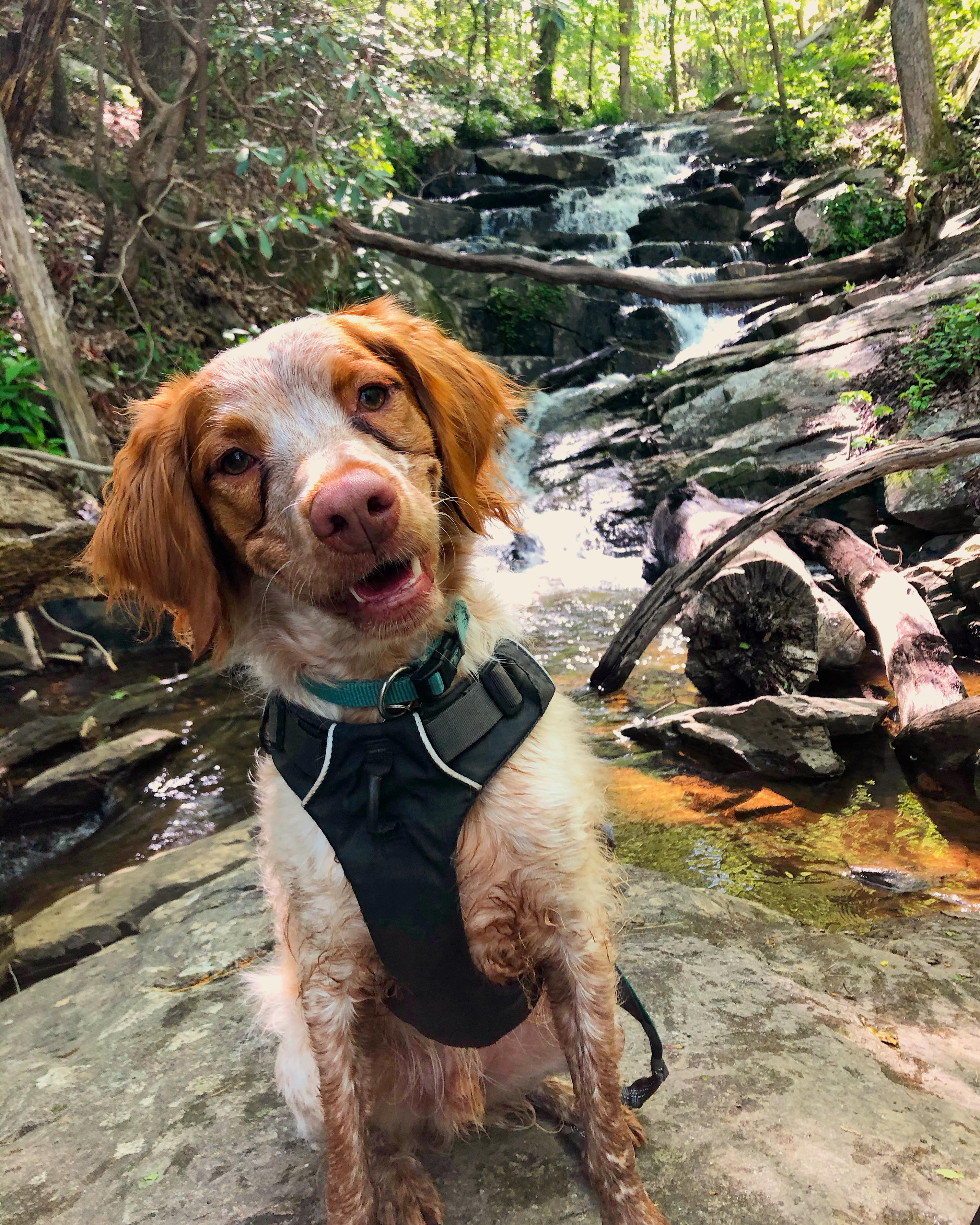 9 miles of smiles :) | Scrolller