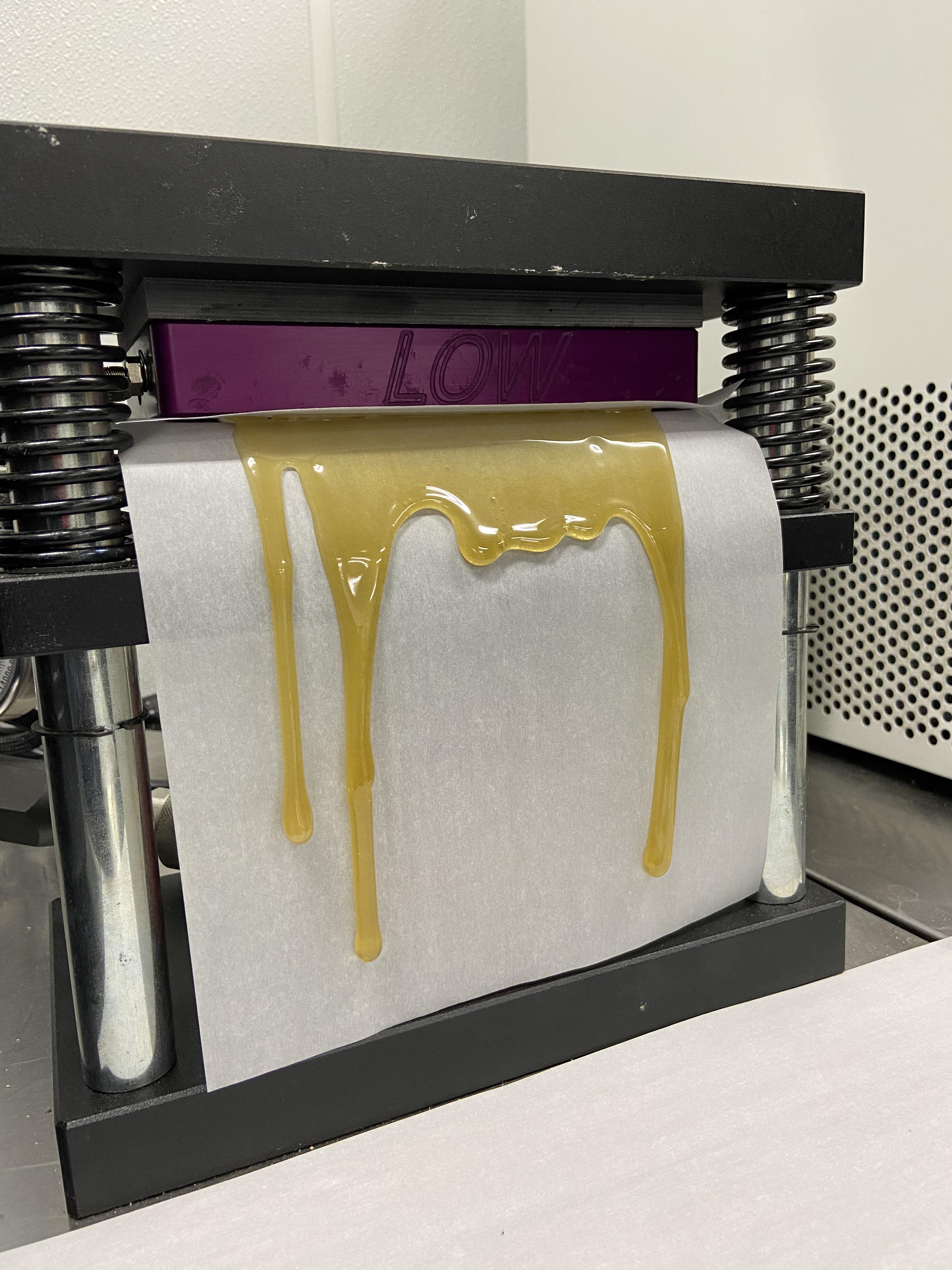 90u Bruce banner Wpff hash rosin . | Scrolller