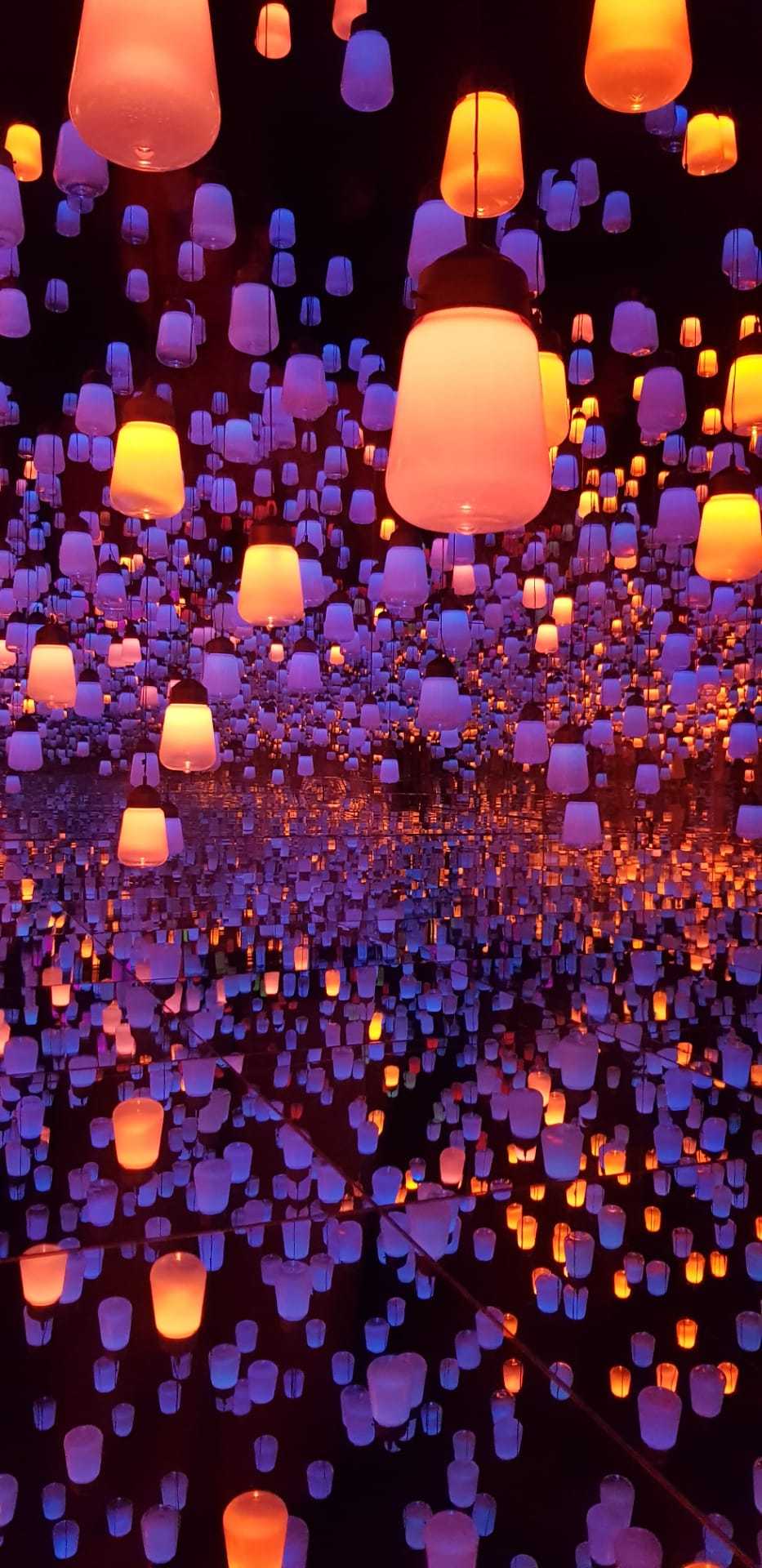[933x1920] Teamlab Borderless - Forest of Ressonating Lamps | Scrolller