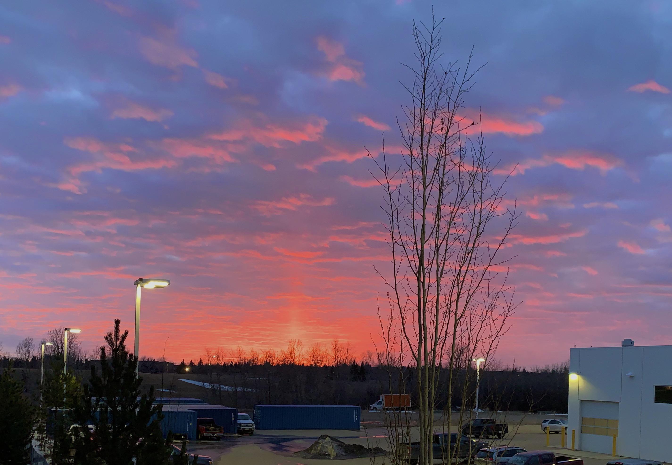 A beautiful cotton candy sunset this evening. | Scrolller