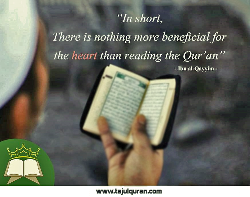 A beautiful quote about reading Quran | Scrolller
