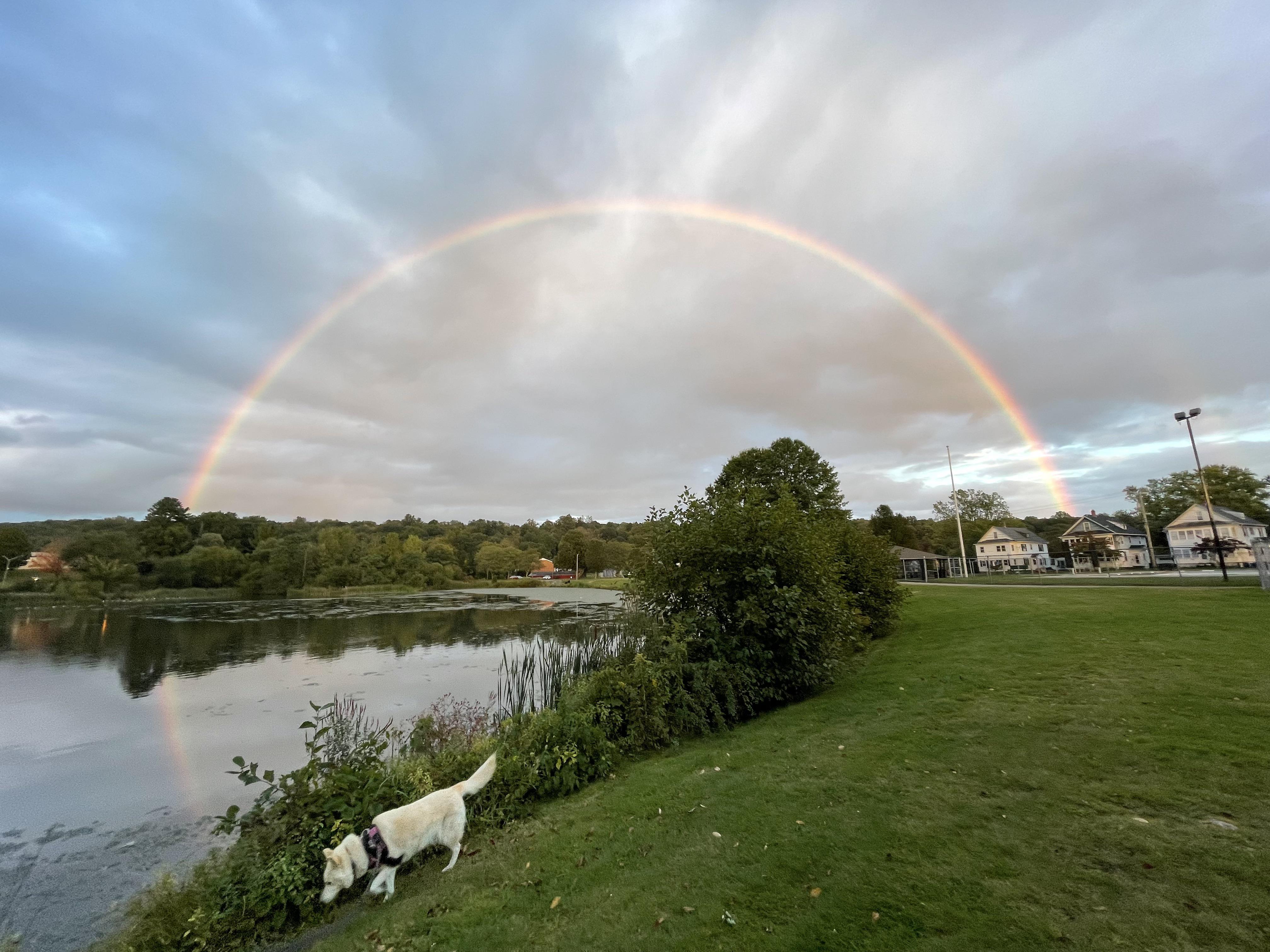 A Beautiful Rainbow | Scrolller