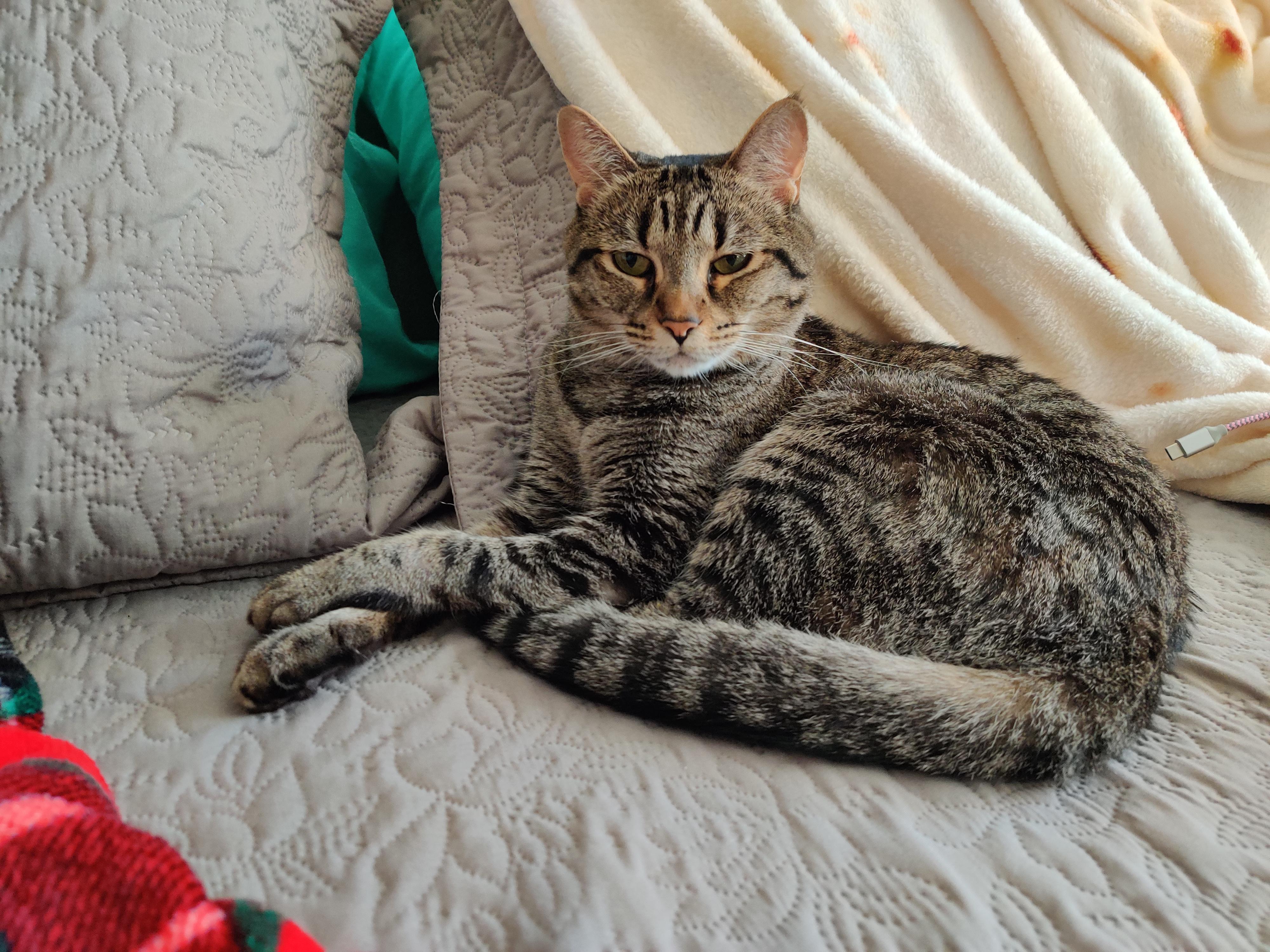 A bit of RBF but she's acting nice | Scrolller