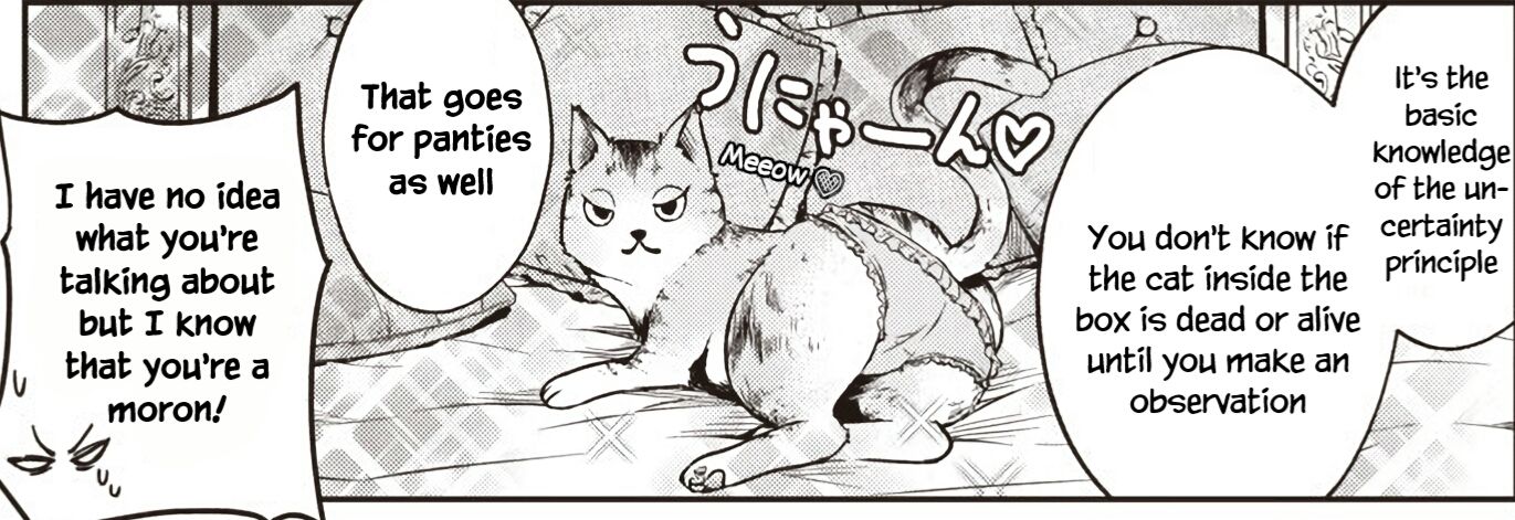 A cat is fine tho | Scrolller