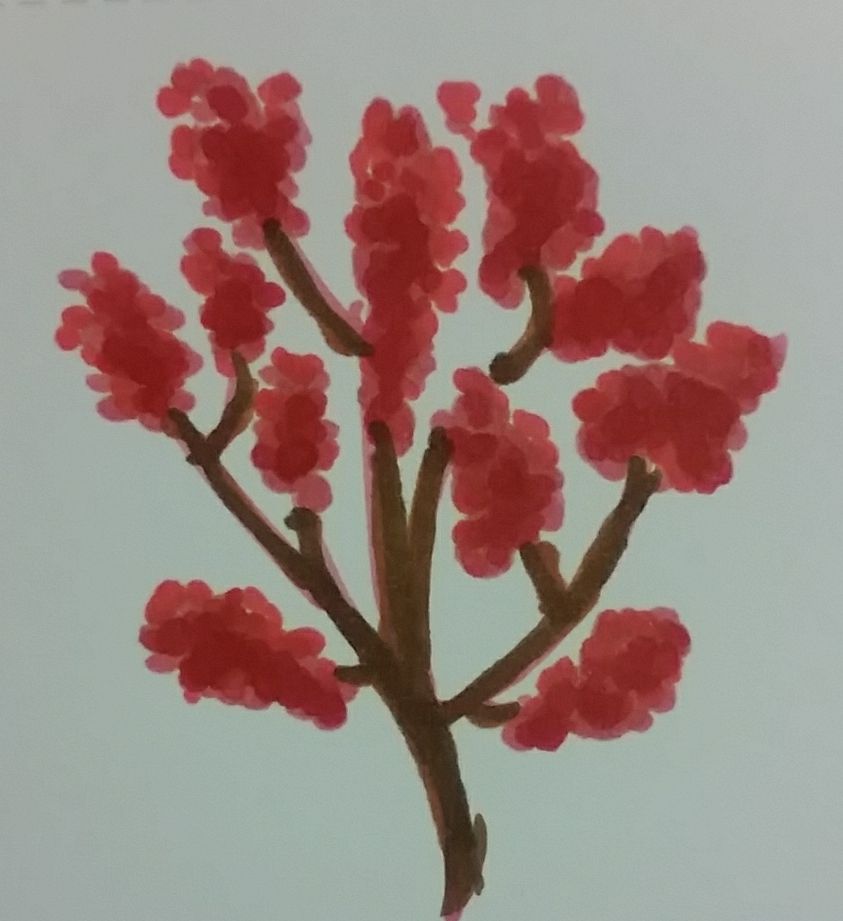 a-cherry-blossom-tree-i-drew-scrolller