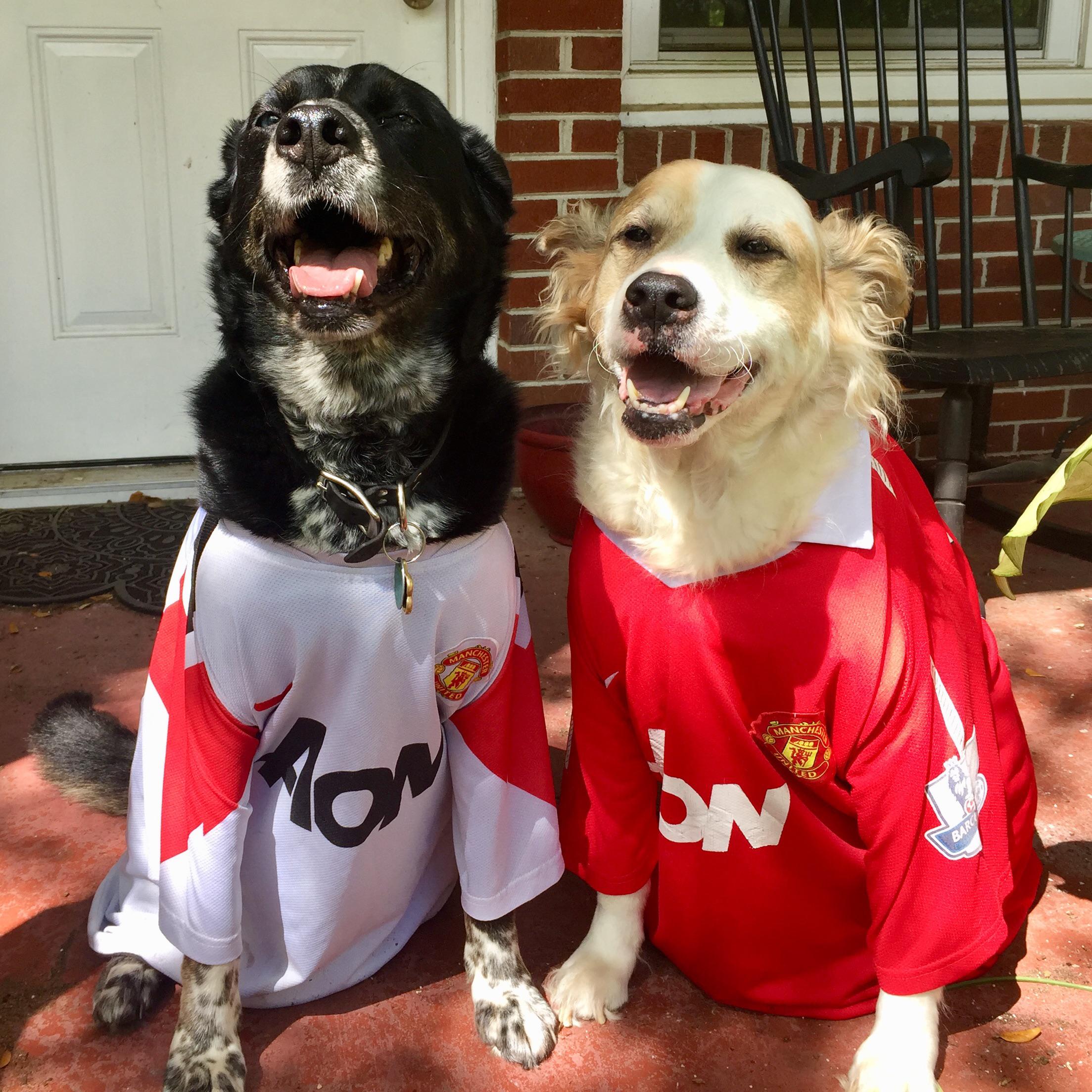 A couple of huge fans | Scrolller