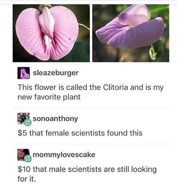 A friend sent me this . . . All captions speak the truth. | Scrolller