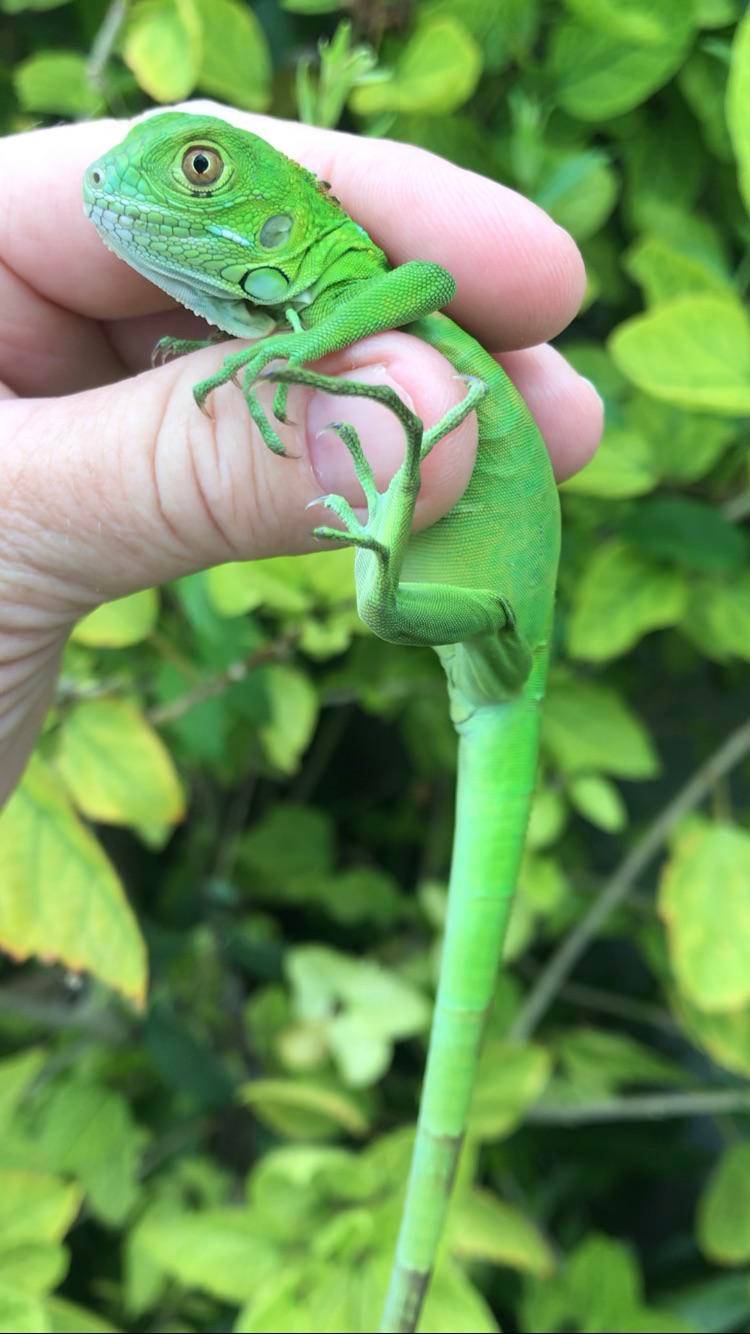 A gorgeous boy 💚 | Scrolller