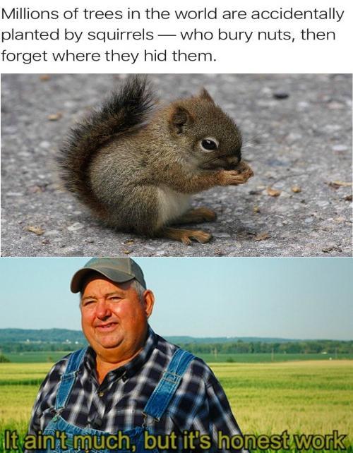 A happy accident. | Scrolller