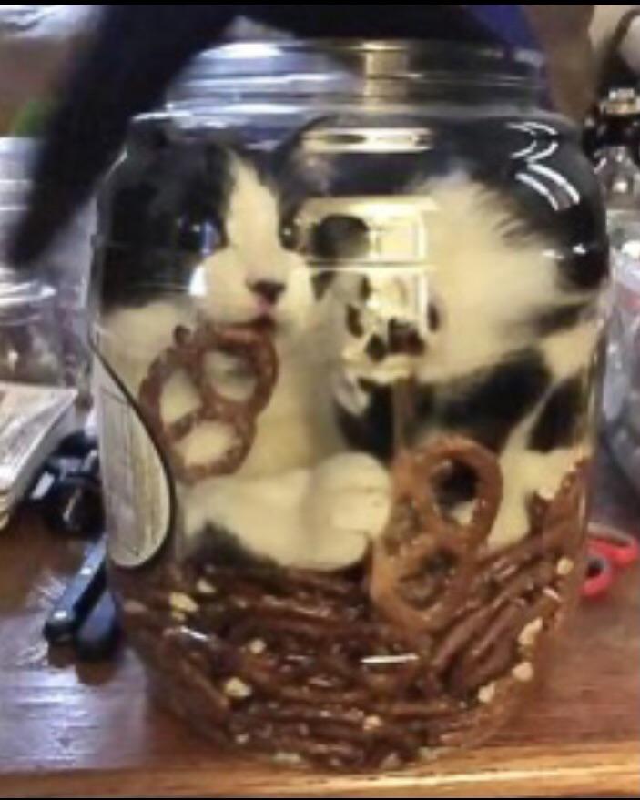 A jar of pretzel | Scrolller