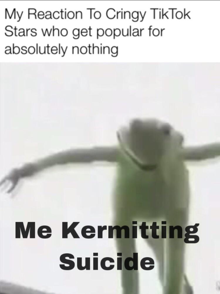 A kermit Tik Tok Meme: | Scrolller