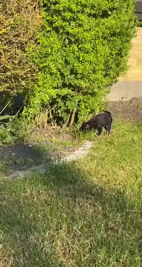 A lesson was learned.. | Scrolller