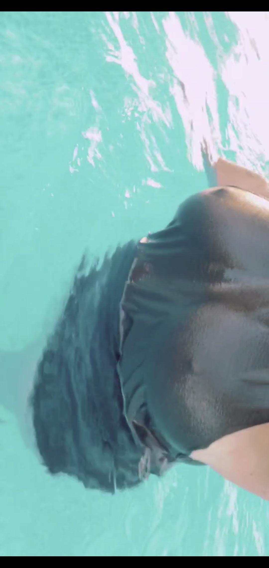 A little clip from a video of me getting out of my pool with no bra on😜 | Scrolller