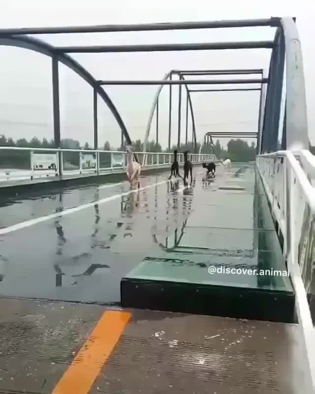 A little trouble | Scrolller