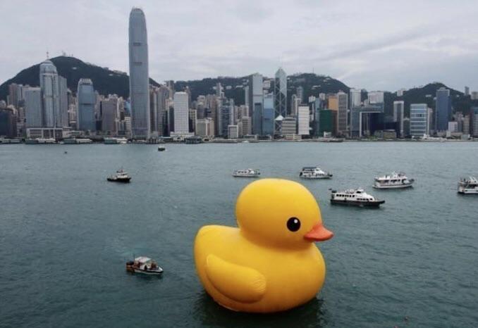 A massive rubber ducky in a city river designed by Dutch artist Florentijn Hofman. | Scrolller