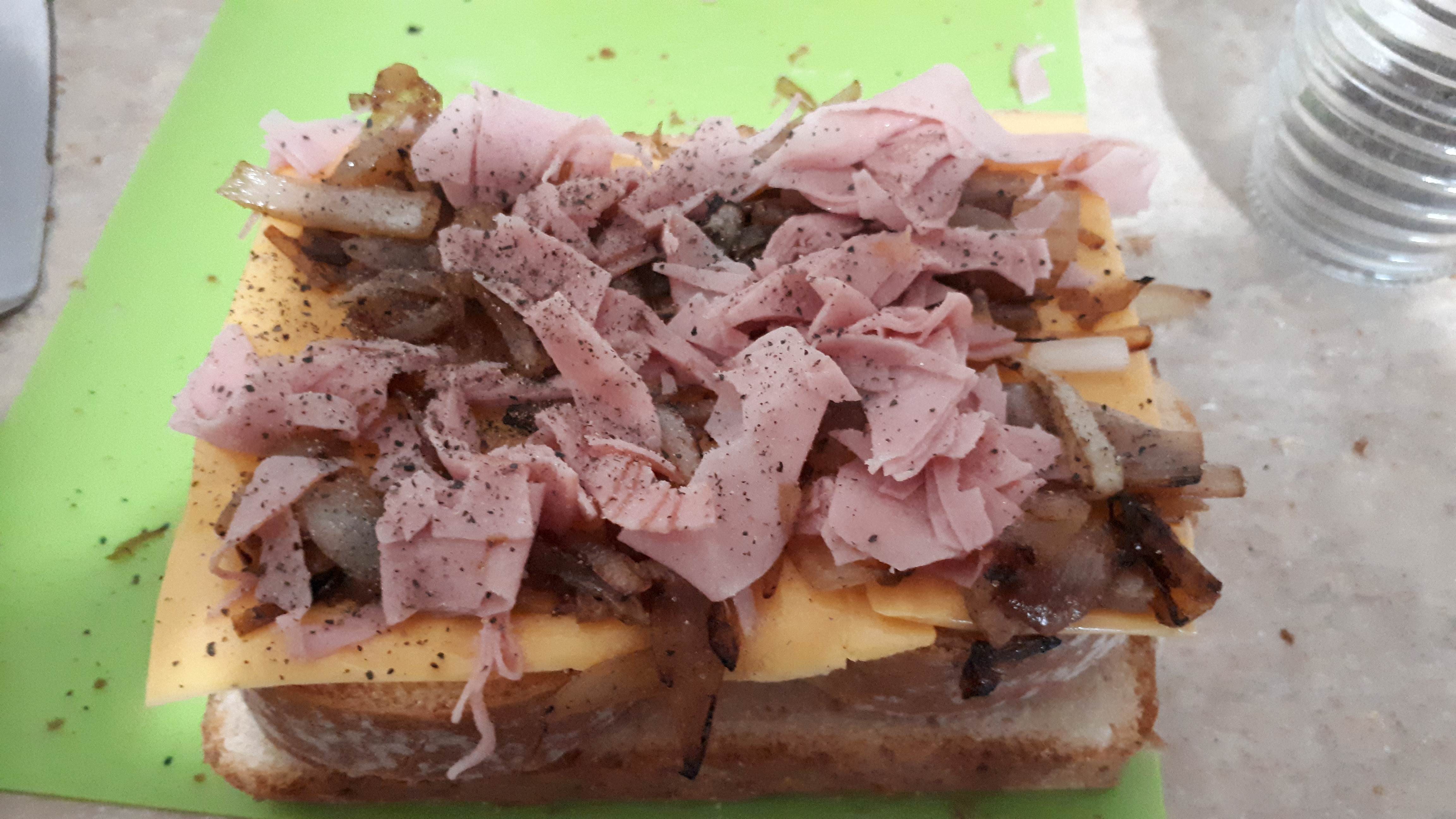 A naked Onion, cheese & ham melt. What a beauty | Scrolller