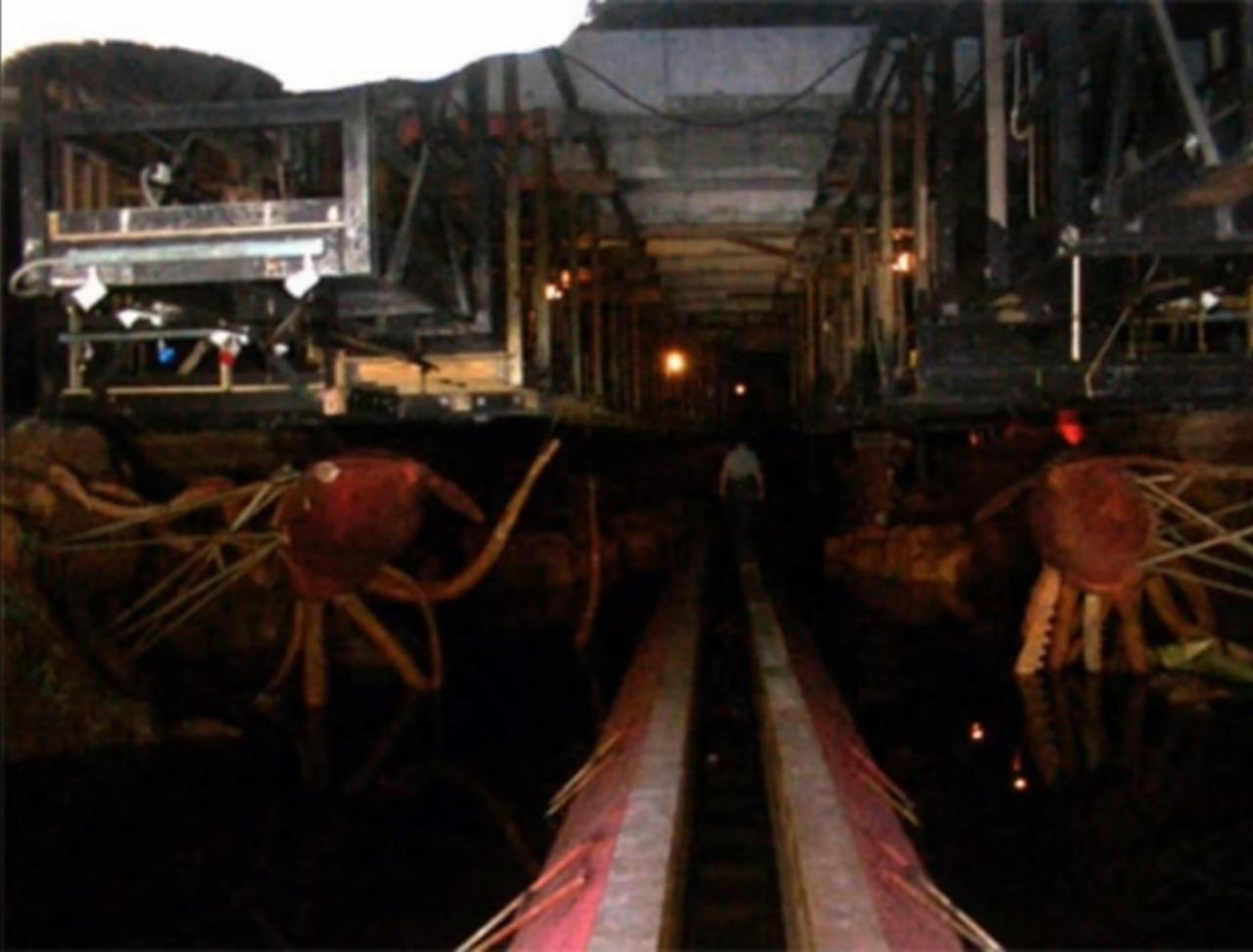 A neat perspective of the squids | Scrolller