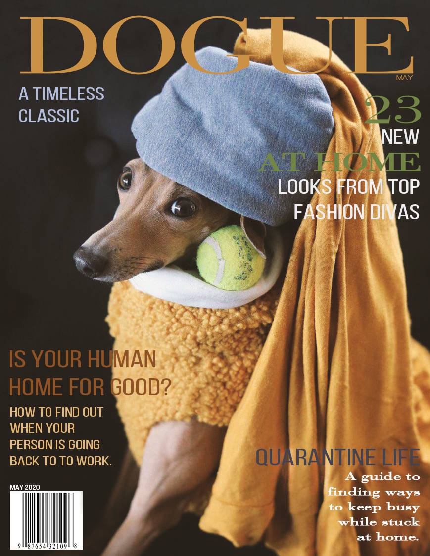 A new take on a timeless classic. DOGUE May 2020 Issue | Scrolller