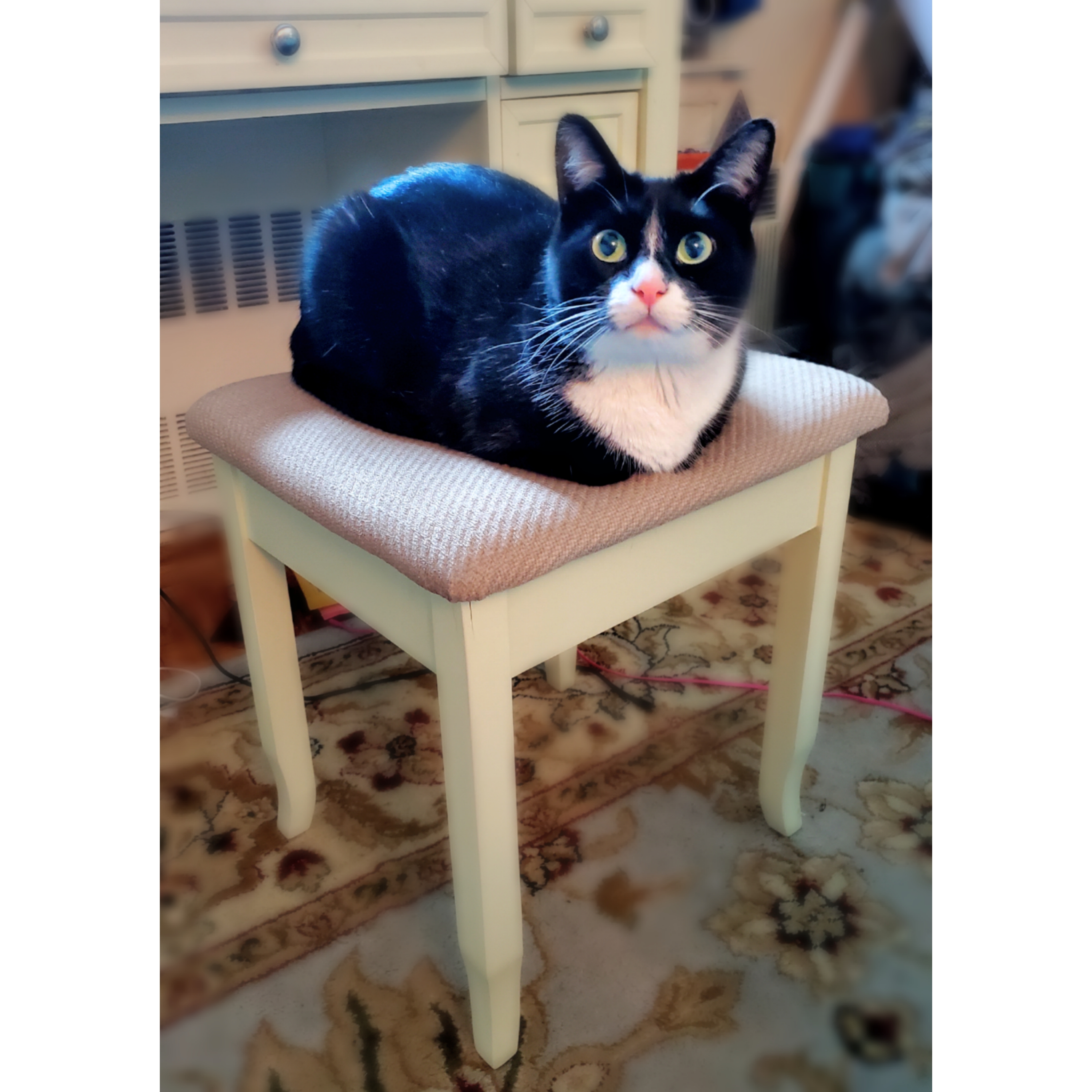 A perfect loaf | Scrolller