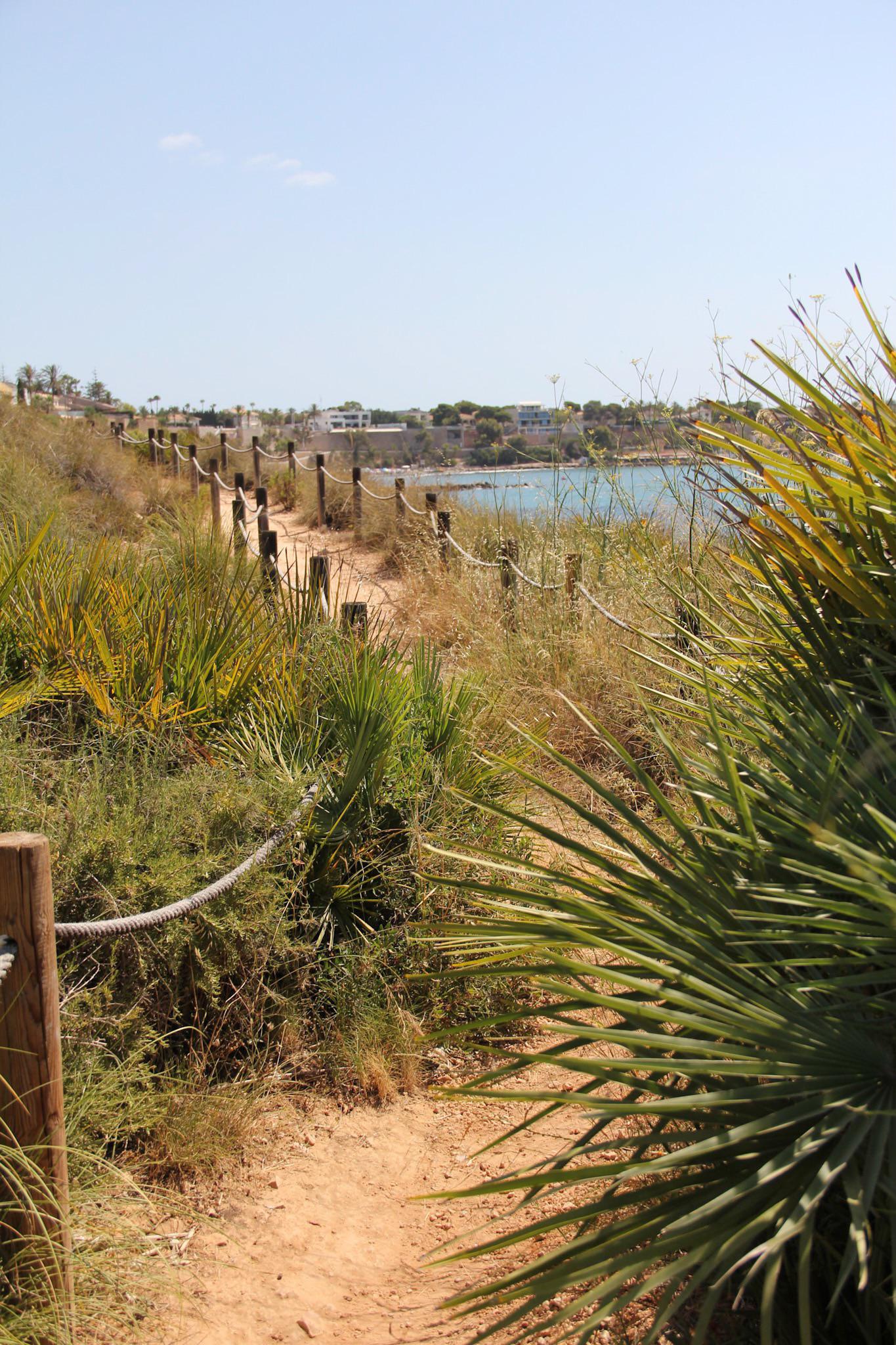 A picture of a path in Spain | Scrolller