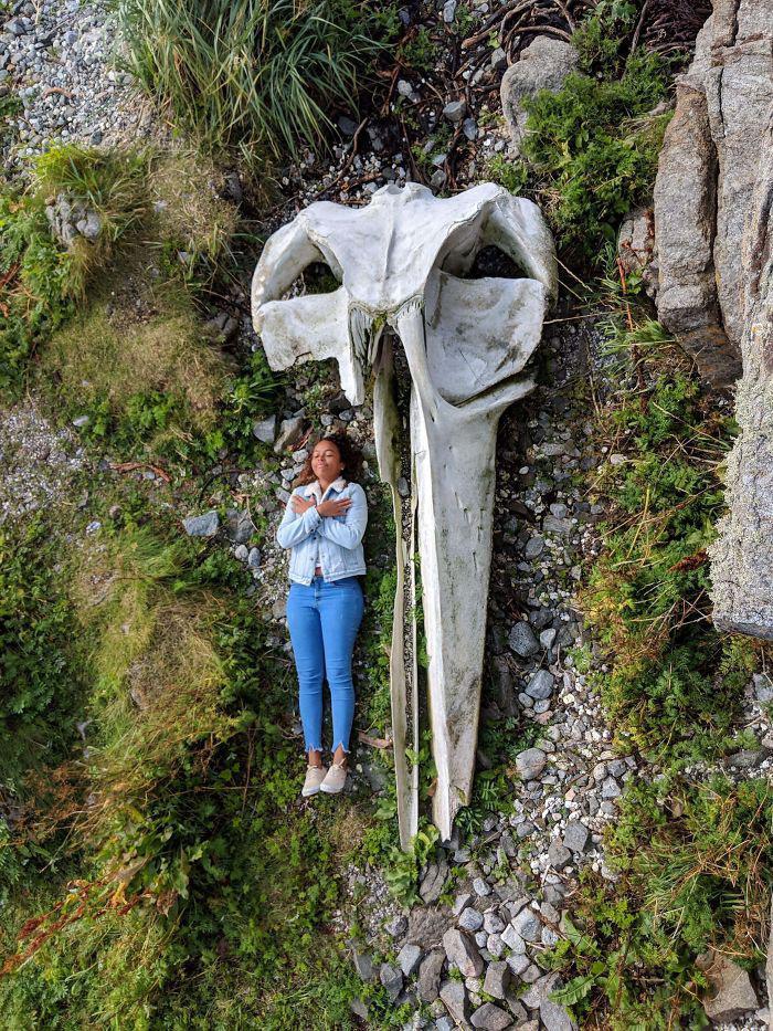 A puny human next to a whale skull | Scrolller