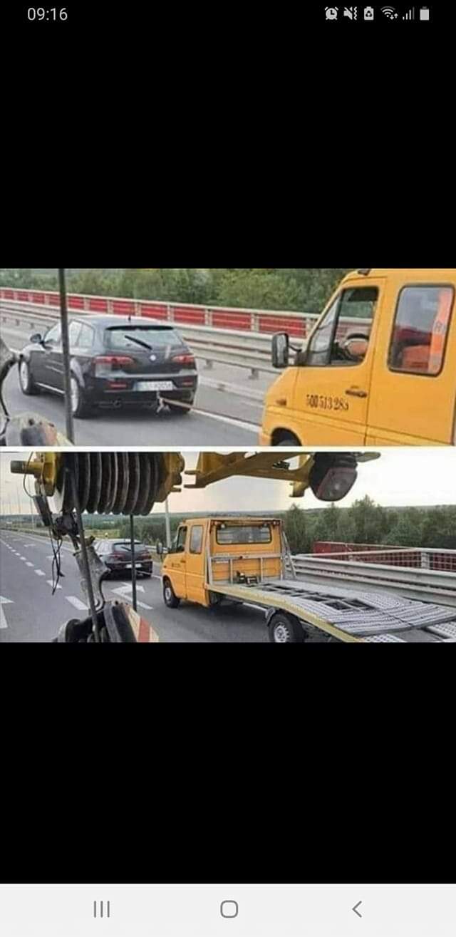 A rare sighting | Scrolller