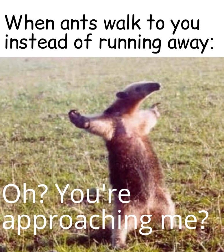 A reference for something | Scrolller