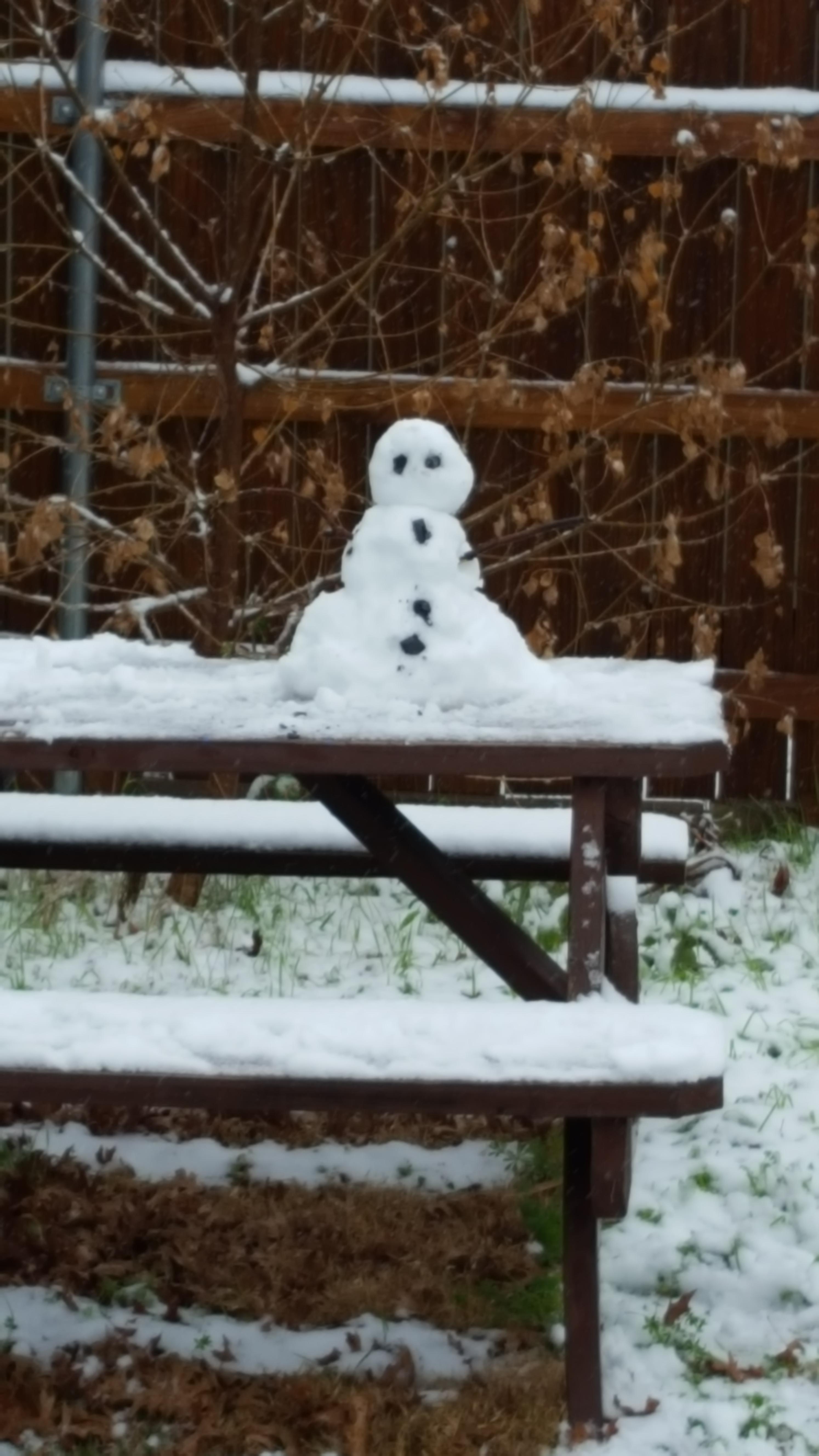 A Sacrificial Snowman for bob. | Scrolller