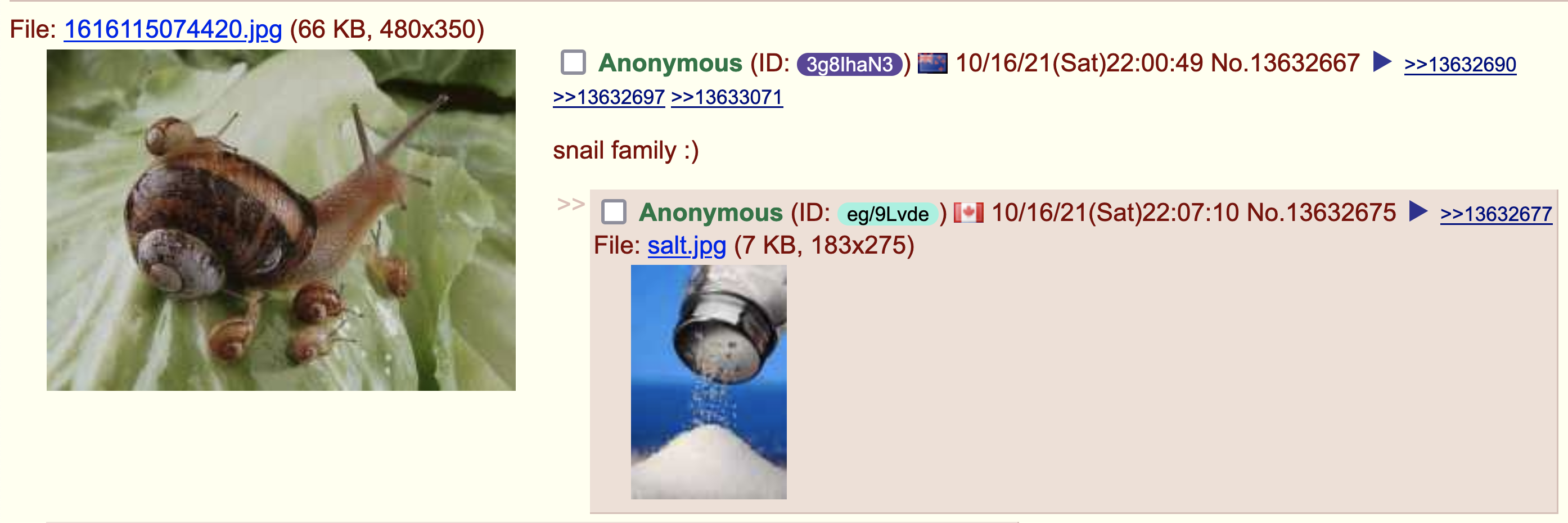 a short tragedy | Scrolller