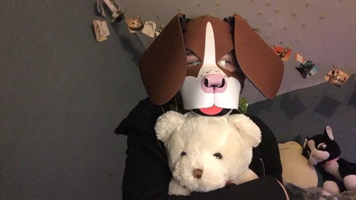 A sleepy puppy | Scrolller