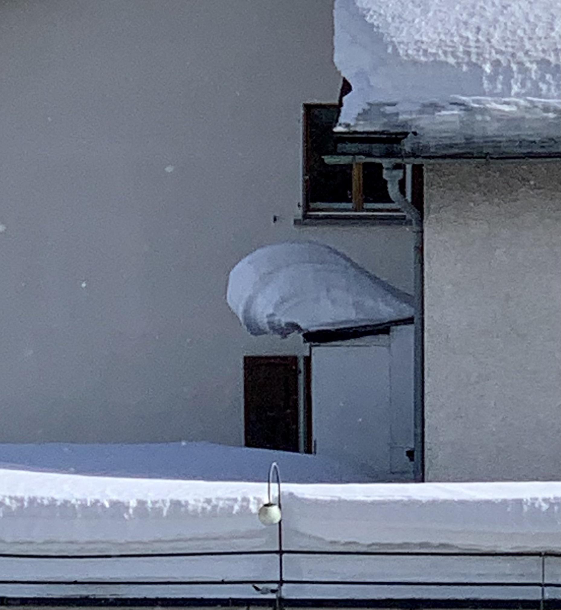 A snow wave | Scrolller