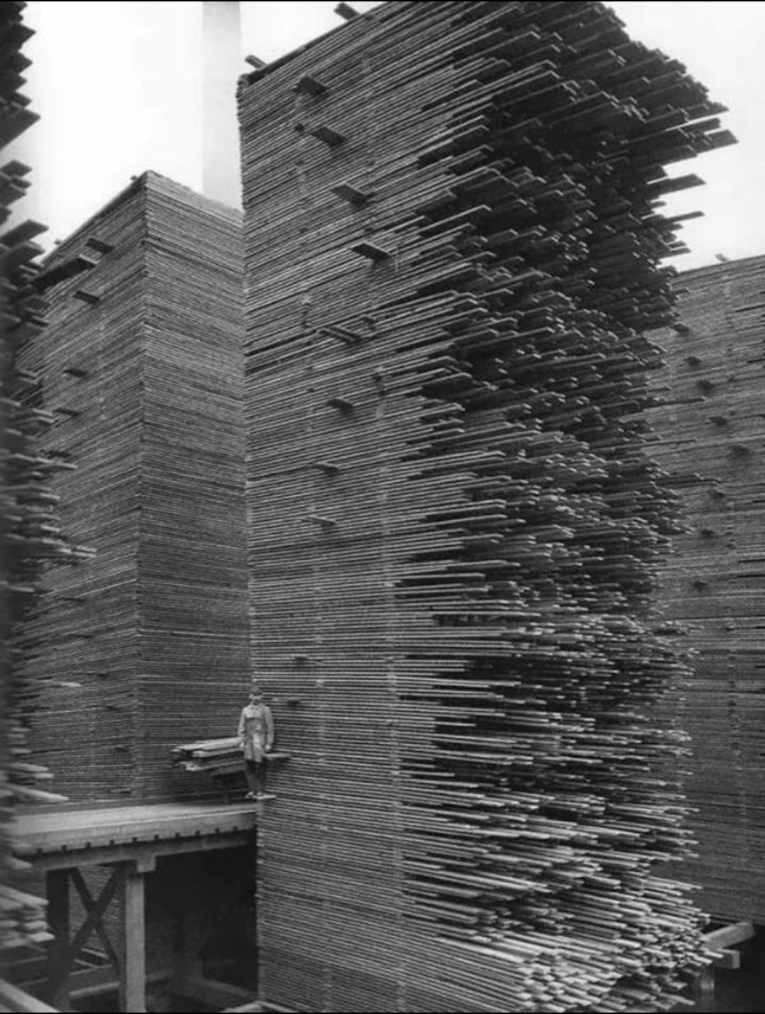 A stack of lumber (human for scale) | Scrolller
