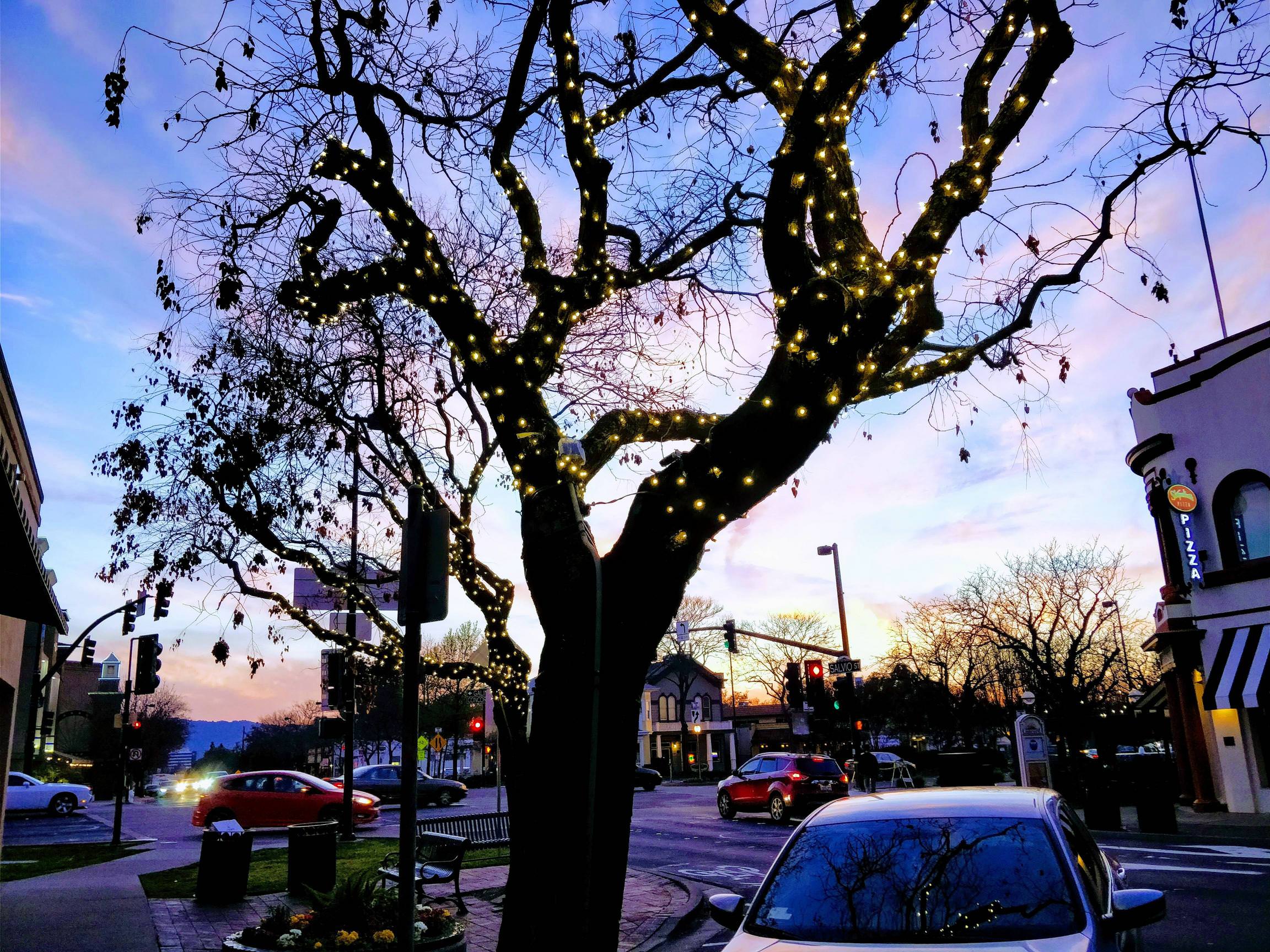 A Sunset in March | Scrolller