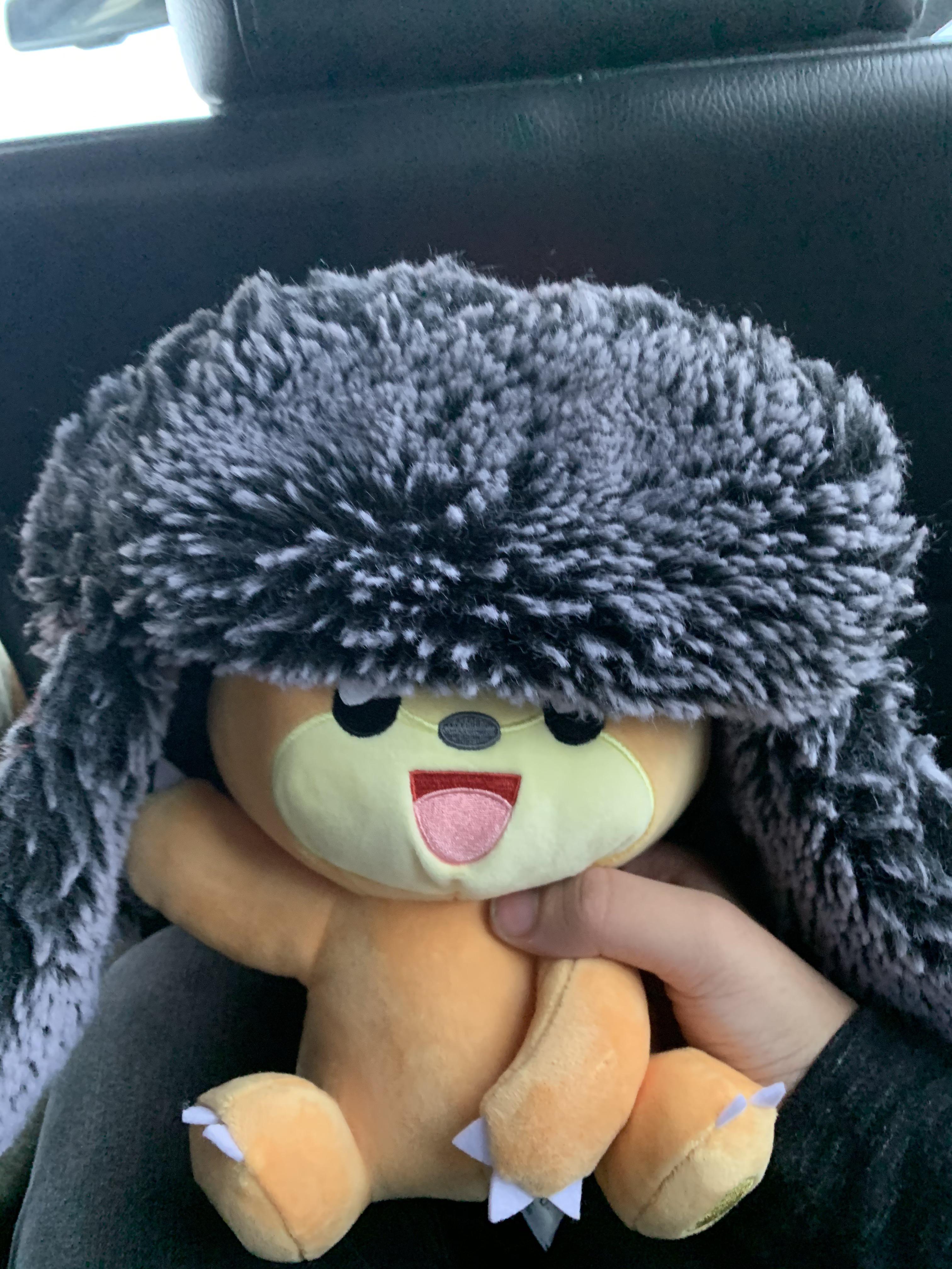 A Teddiursa plush | Scrolller