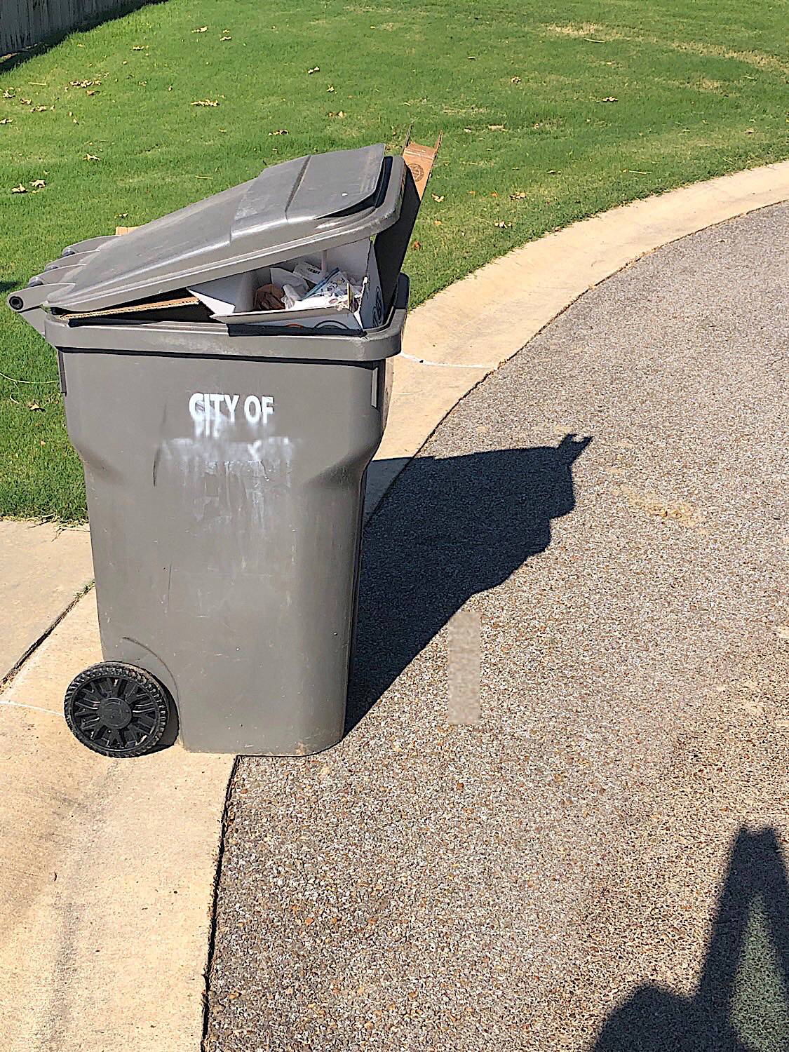 A tiny crown for a trash king | Scrolller