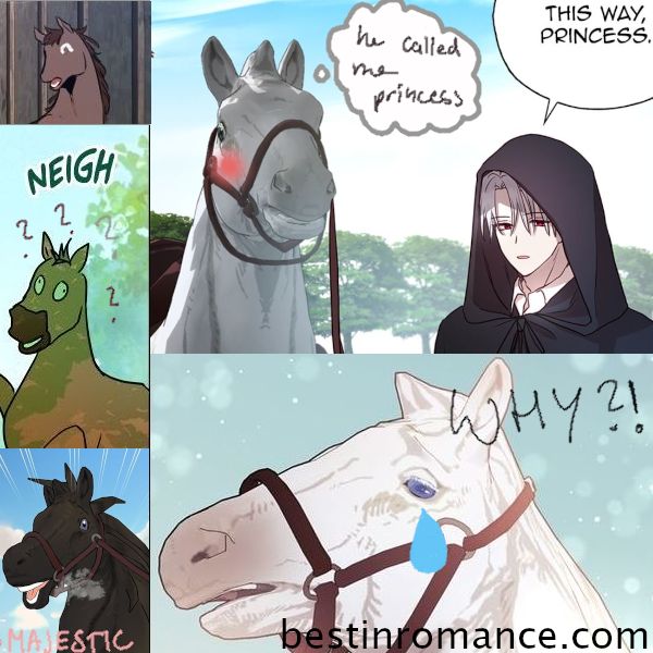 A tribute to derpy horses in Romance Manhwa | Scrolller