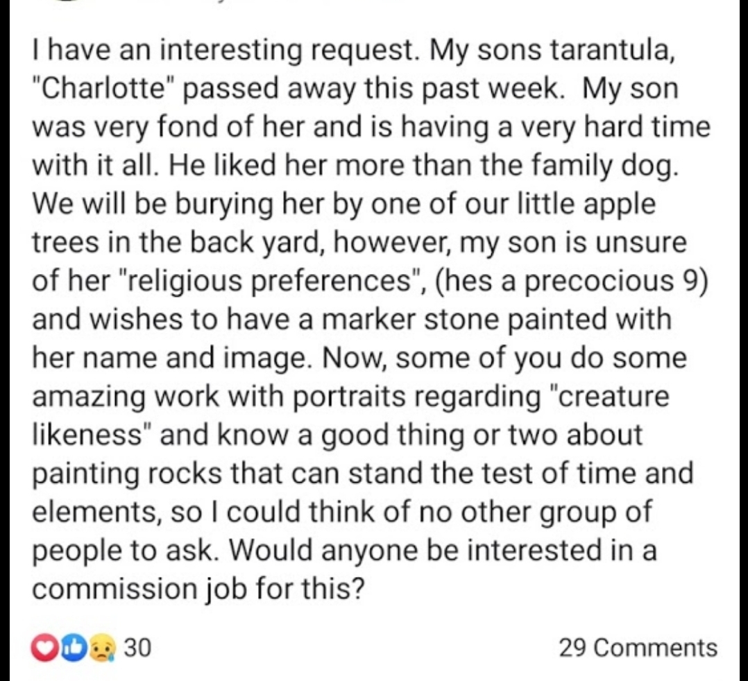 A true Spider Bro, RIP Charlotte | Scrolller