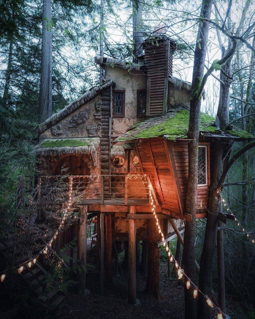 A Witchy treehouse in Pacific Northwest | Scrolller