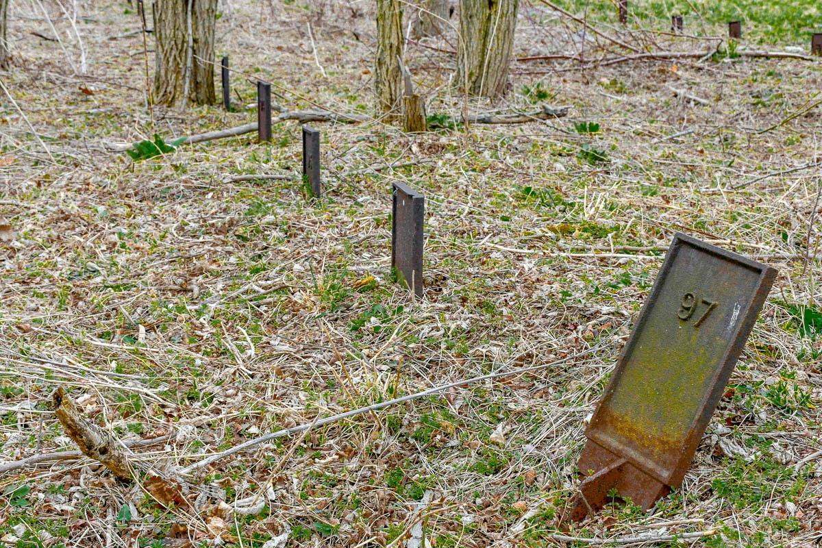 Abandoned Insane Asylum Potters Field: 5,776 Souls Buried in only Numbered Graves | Scrolller