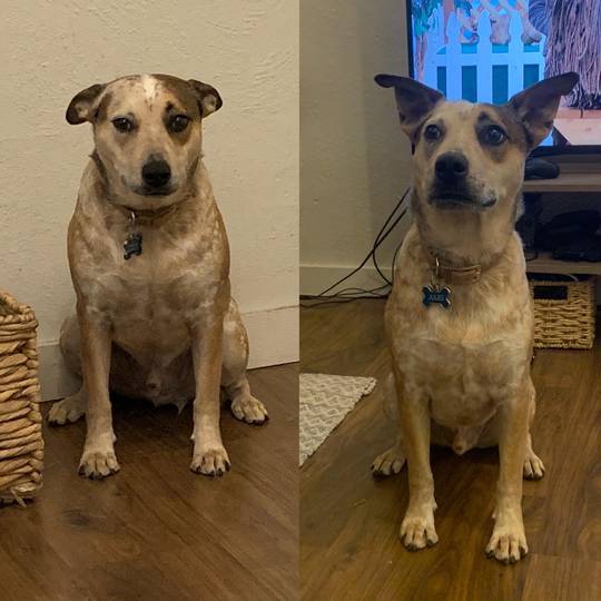 About two months difference! | Scrolller