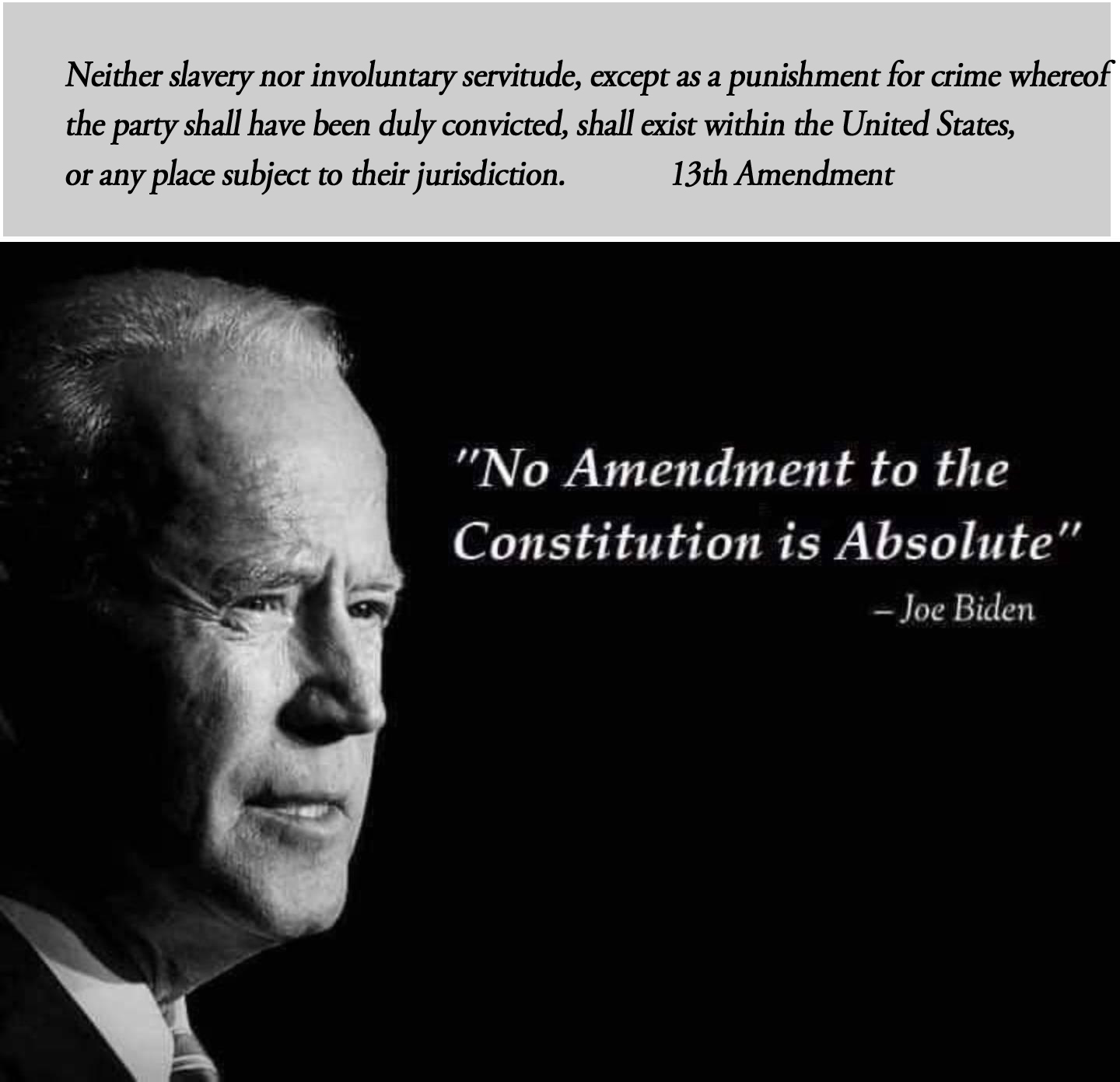 Absolute 13 | Scrolller