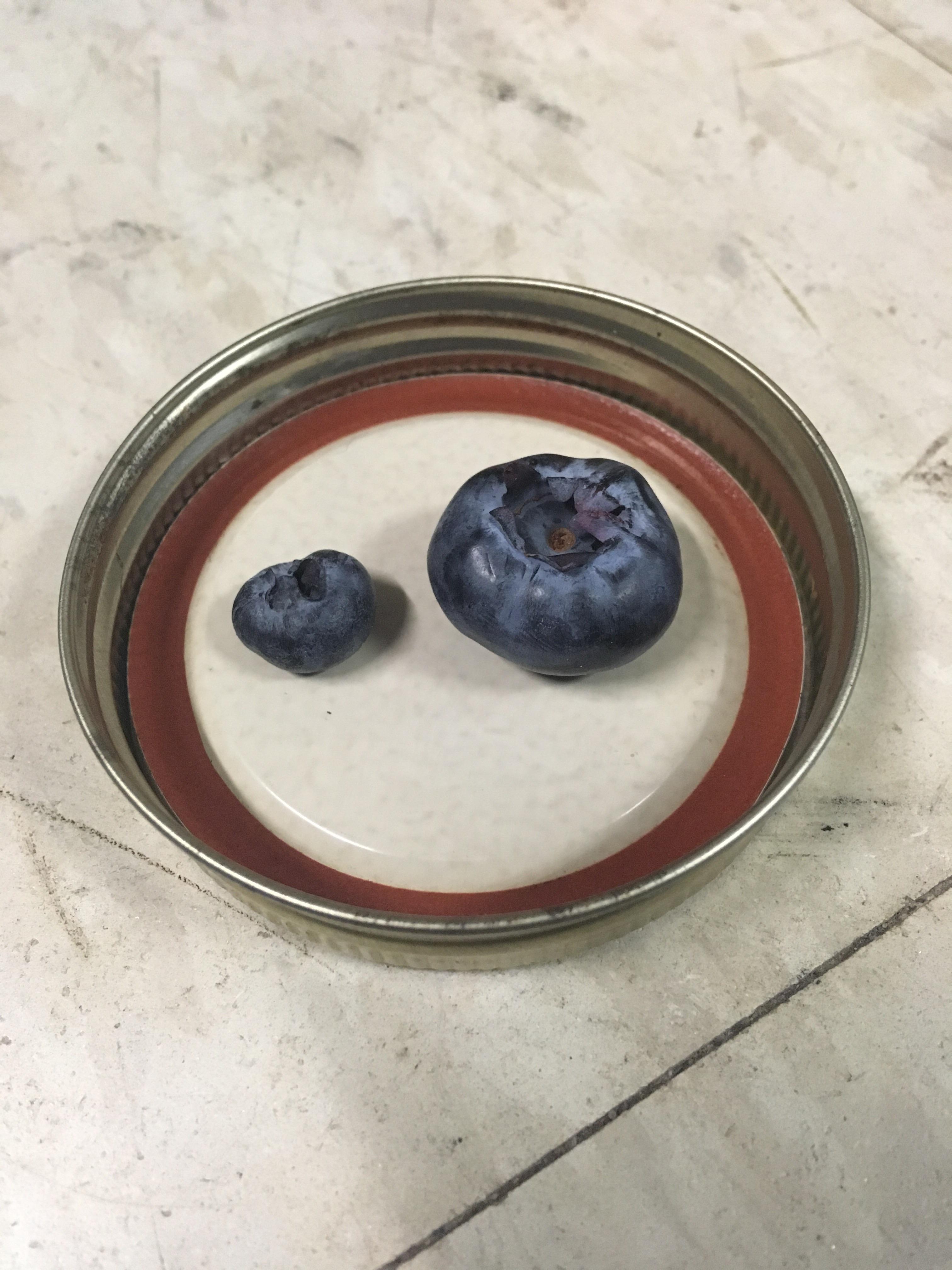 ABSOLUTE FROOT | Scrolller