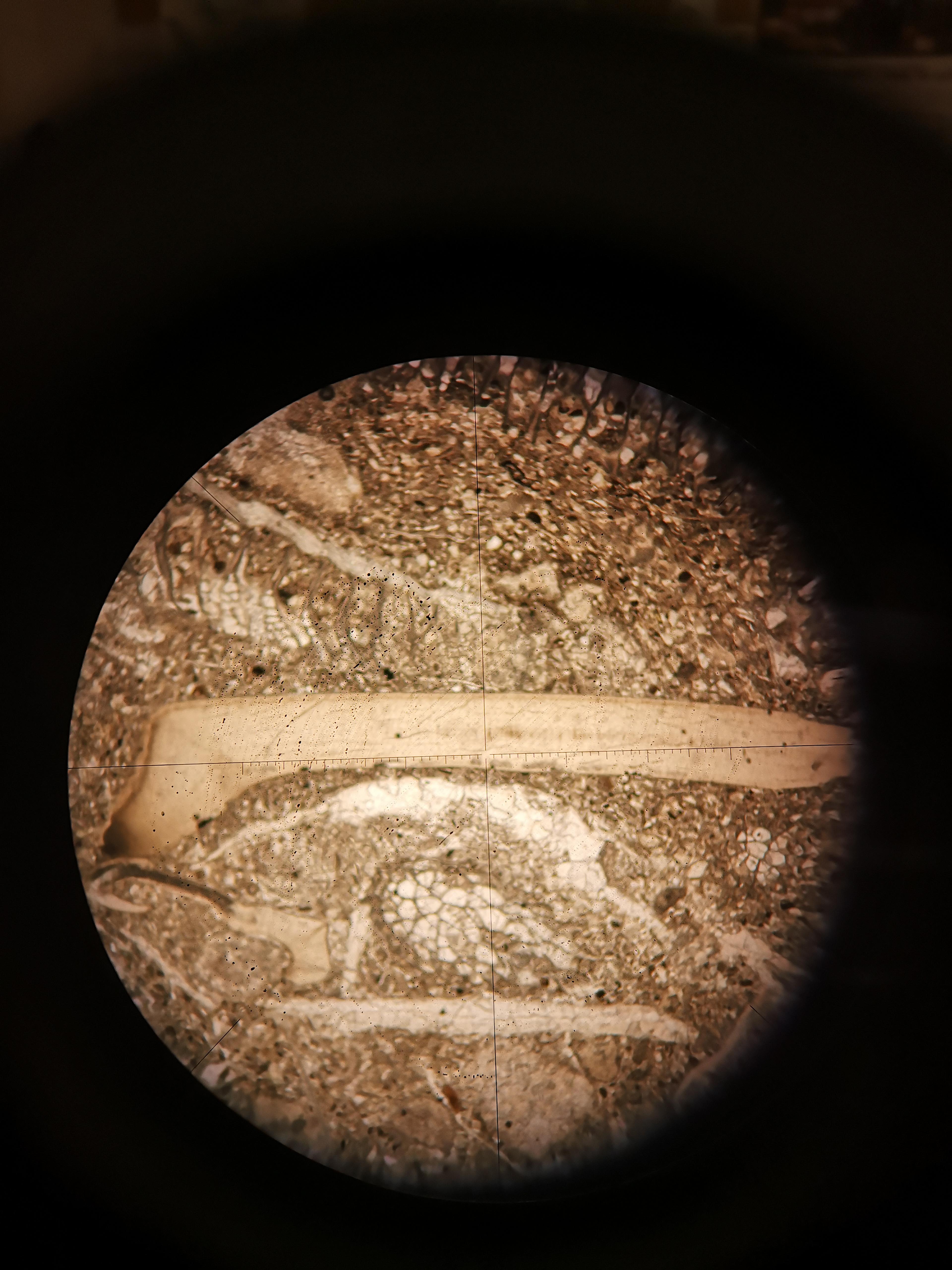 Absolute SHAFT | Scrolller