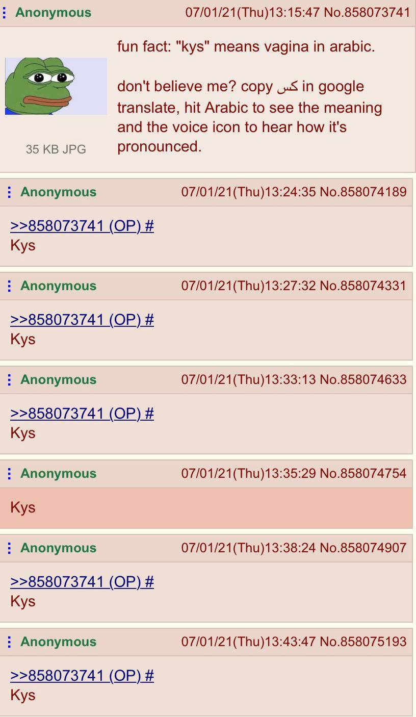 Absolutely BTFO | Scrolller