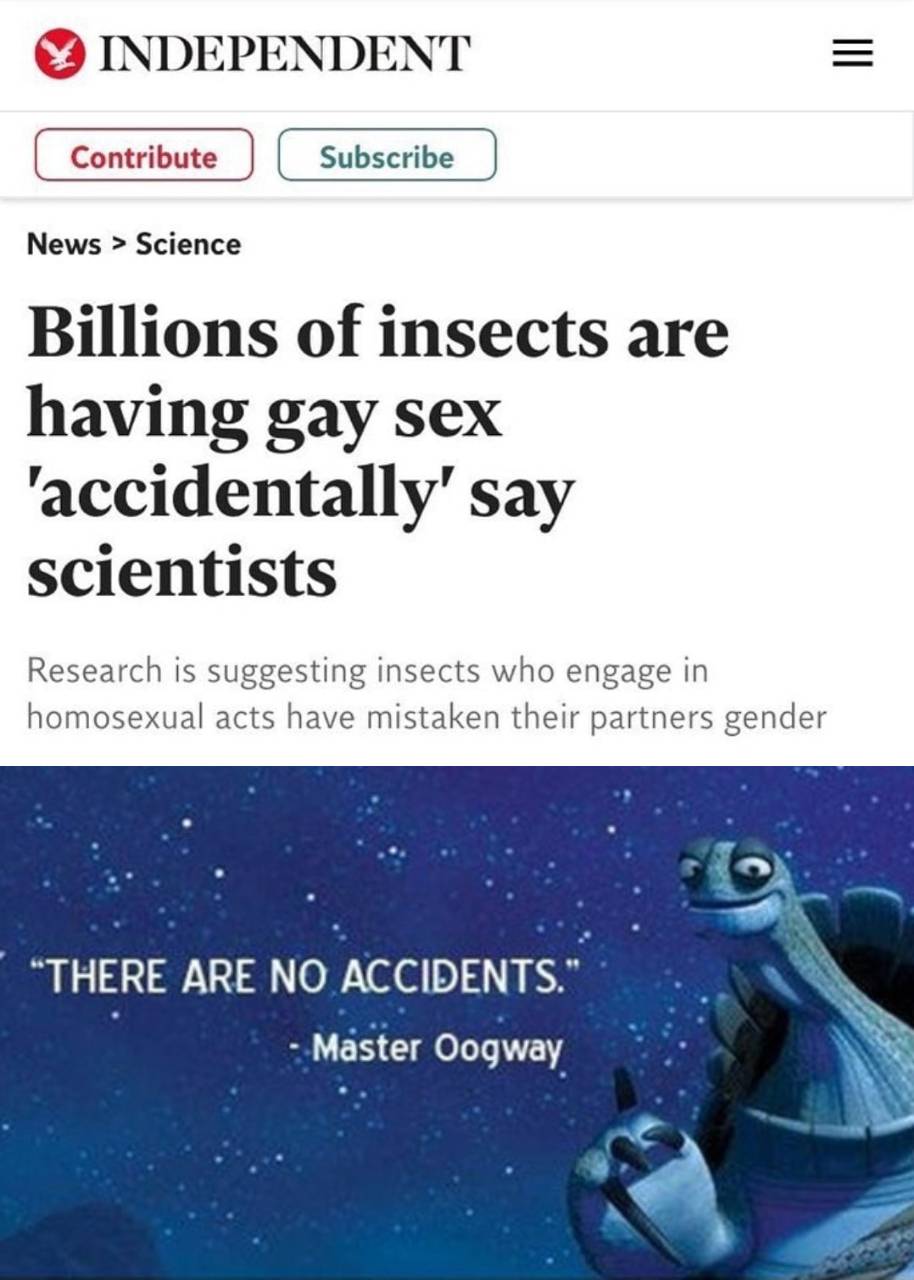 "Accidentally" | Scrolller