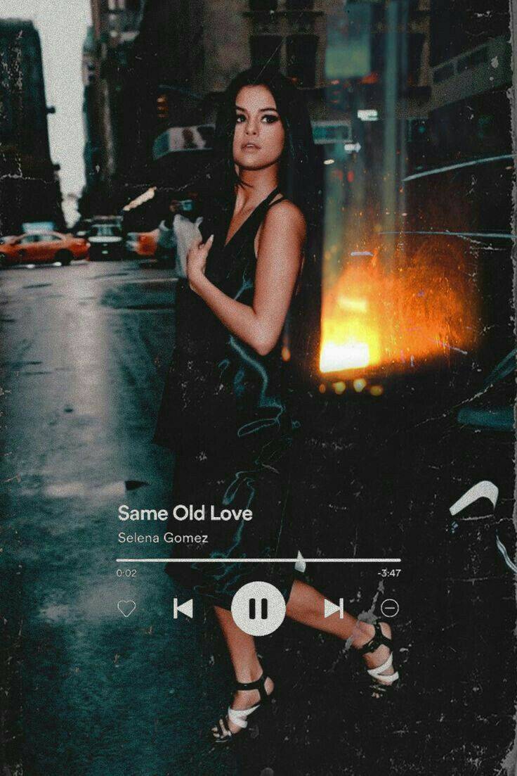 Aesthetic | Scrolller