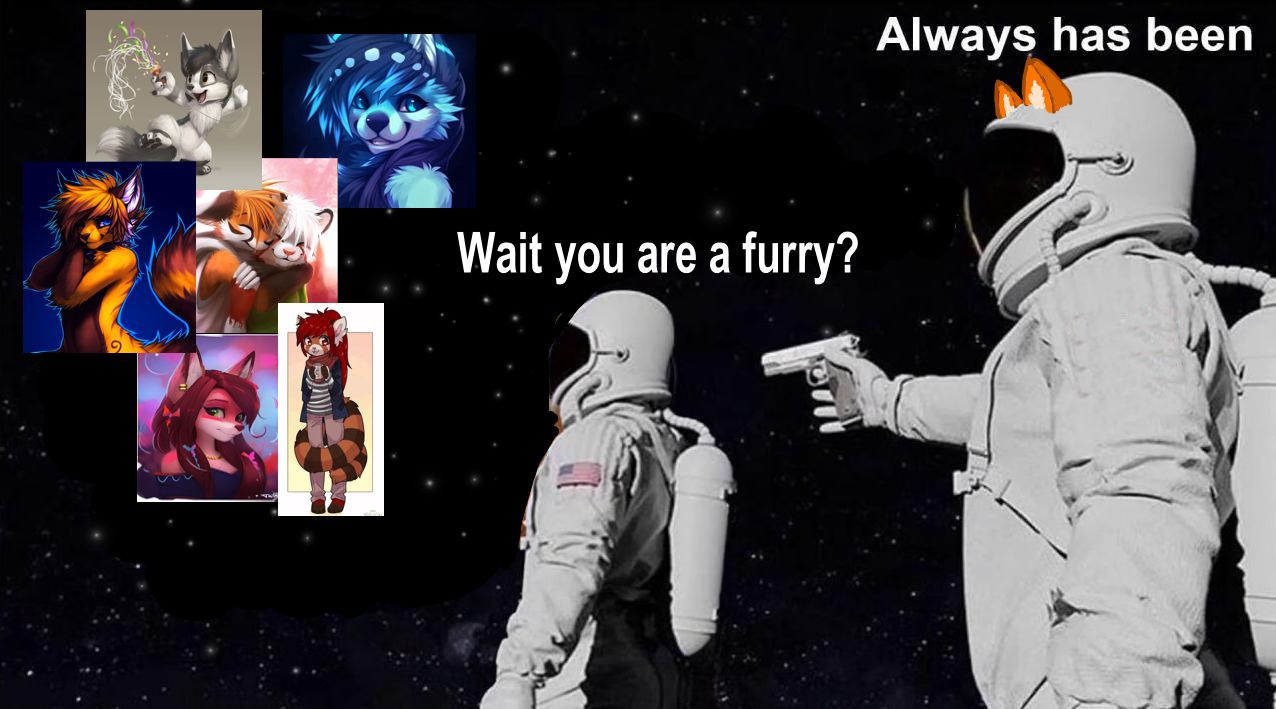 Afraid_irl | Scrolller