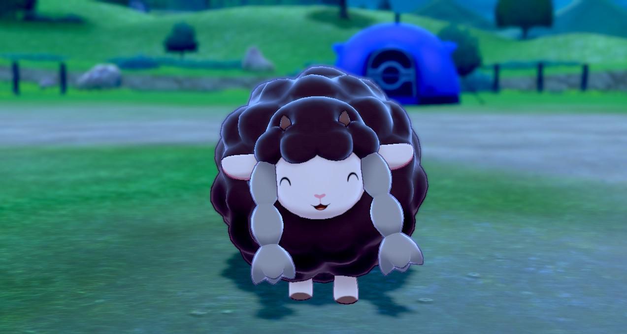 After 2000 encounters I find this shiny and marked Wooloo! | Scrolller