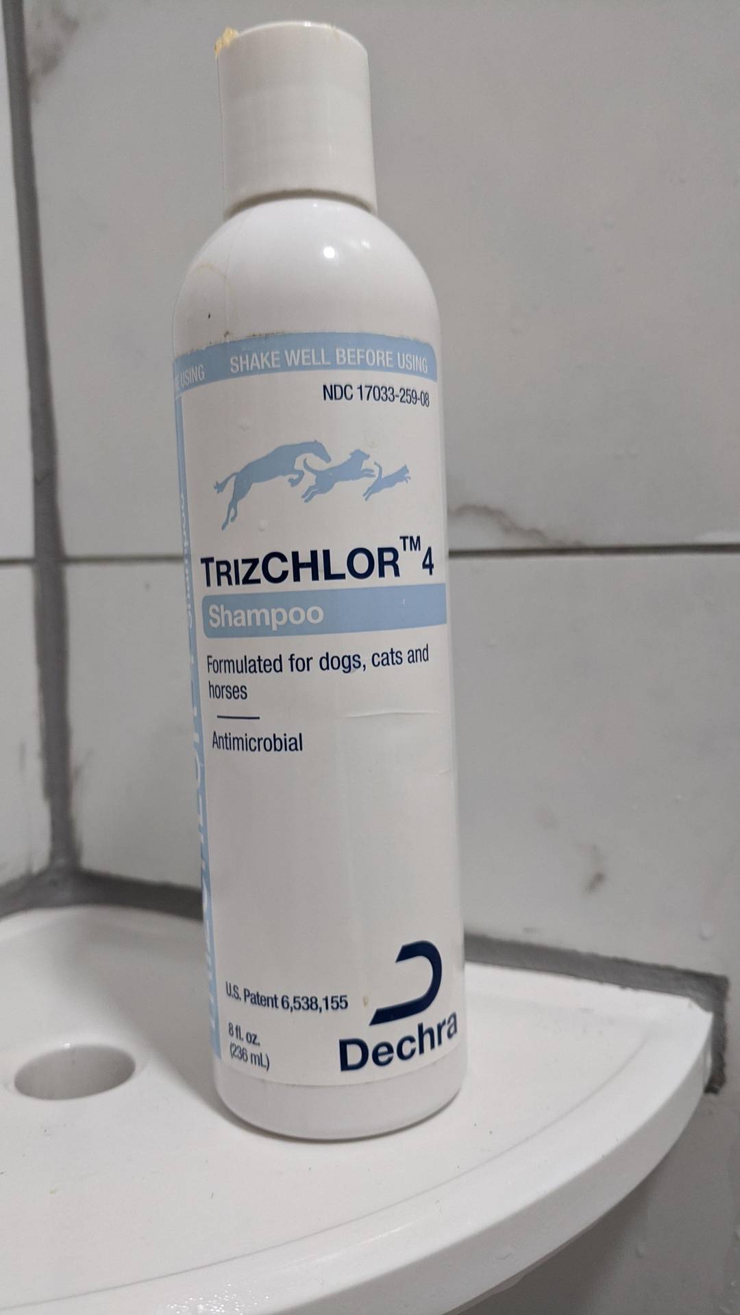 After 3 years I finally fixed my scalp sores by using my dog's shampoo | Scrolller